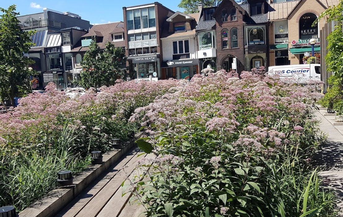 8 Richest Neighbourhoods in Toronto